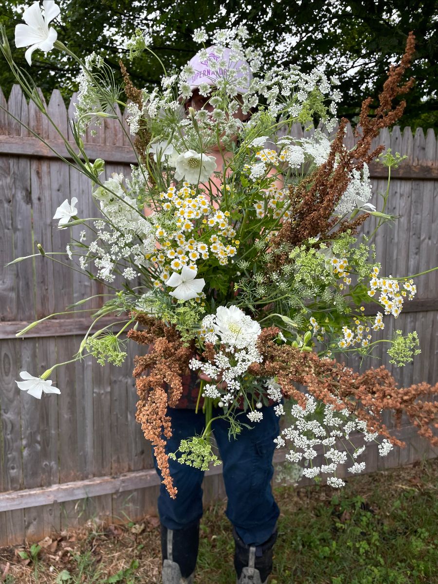 Pickup Reminder: 10-Week Curated Flower Share Begins Tomorrow!